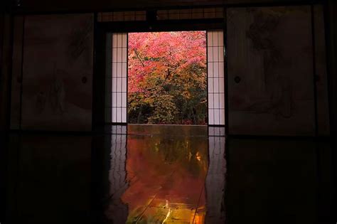 京都紅葉の穴場 本当は教えたくないおすすめのお寺スポット Leaf KYOTO