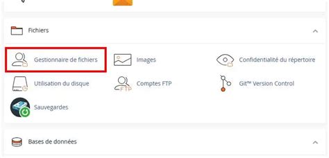 Comment Utiliser Le Gestionnaire De Fichiers Dans CPanel Mister Hosting