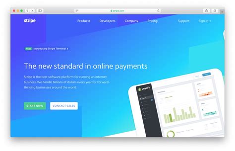 Stripe Vs Paypal Which Payment Gateway Is Right For Your Business The