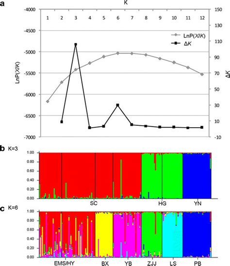 structure clustering results deduced from microsatellite alleles within