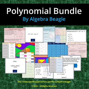 Polynomial Bundle By Algebra Beagle TPT