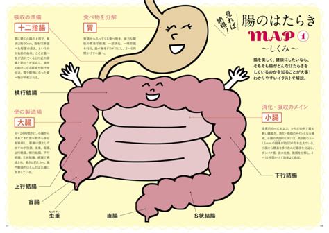 腸活ノススメ｜ニコリオ 株式会社ニコリオ Works Mcs マガジンハウス クリエイティブ スタジオ