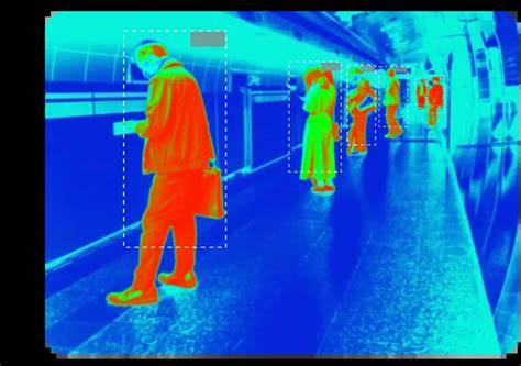 Semantic Segmentation Services Nextwealth