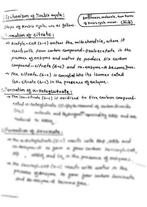 Solution Krebs Cycle Or Tricarboxylic Cycle Or Citric Acid Cycle