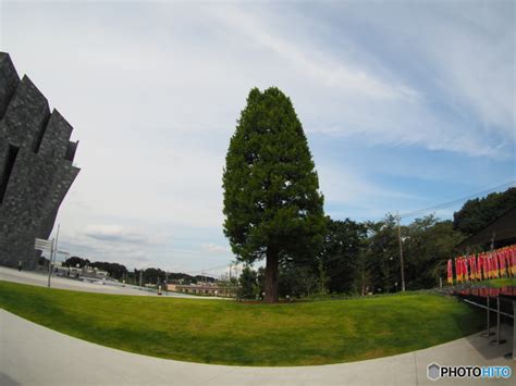 ところざわサクラタウン By Grey Man （id：9836724） 写真共有サイトphotohito