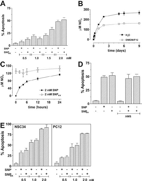 Snp Induced Neuroblastoma Apoptosis Is Independent Of No And No X