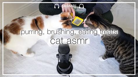 [ASMR] Attempting More Cat ASMR | Purring, Brushing, Eating Treats, Licking, No Talking - YouTube