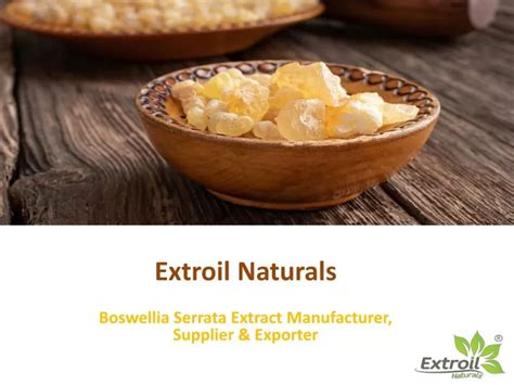 Ppt Boswellia Serrata Extract Manufacturer Supplier And Exporter