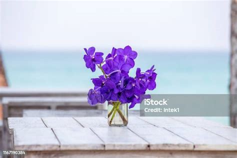 바다 근처의 흰색 나무 테이블에 푸른 오초 꽃의 클로즈업 아름다운 꽃다발 태국 0명에 대한 스톡 사진 및 기타 이미지 0명