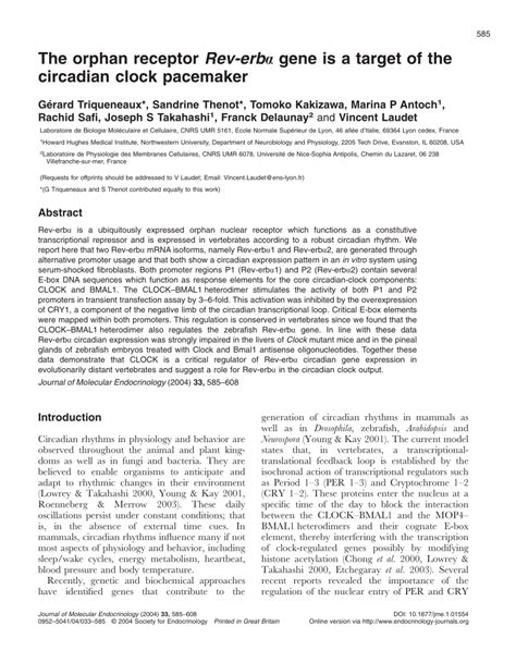Pdf The Orphan Receptor Rev Erb Gene Is A Target Of The Circadian