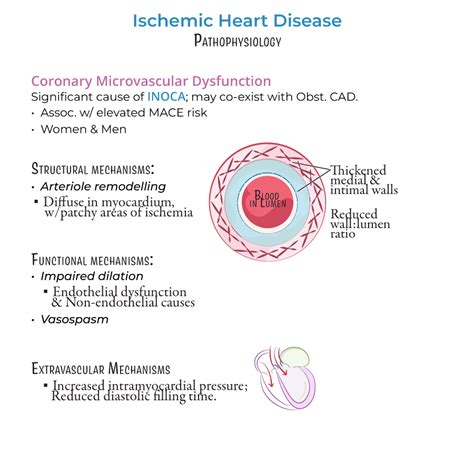 Clinical Pathology Glossary Ischemic Heart Disease Ditki Medical