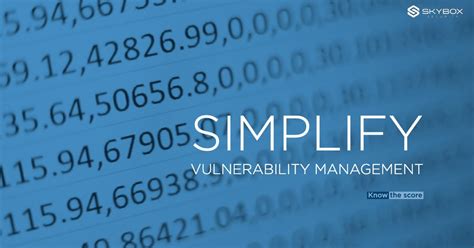 Vulnerabilities Skybox Security