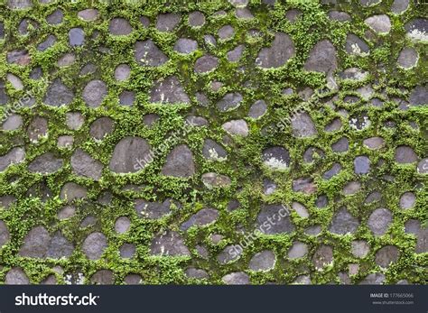 Grass Textures Grass Pavers Texture Images