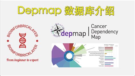 【生信进阶之路｜资源篇01】depmap数据库入门介绍 Youtube