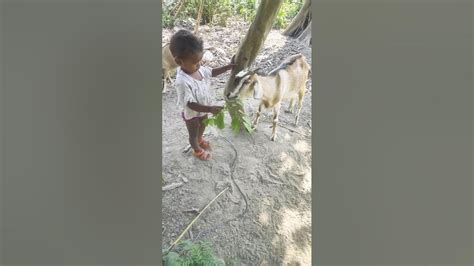 तेरे चेहरे पर नजर हटती नहीं ️🥰😘 शॉर्ट्स Youtube