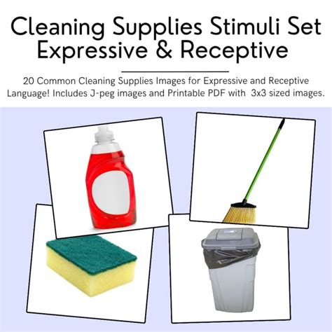 Cleaning Supplies Stimuli Expressive And Receptive Language Sped Aba