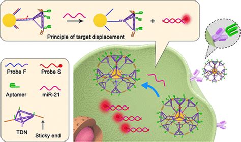 A Dna Tetrahedron Assembly Based Nanoshell Mediated Nanoflares For