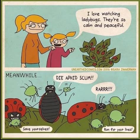 Thanks I Love Ladybugs Fuck Aphids Tili