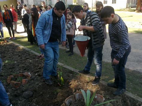 ანნა კვარაცხელია ეკოლოგიური წიგნიერება