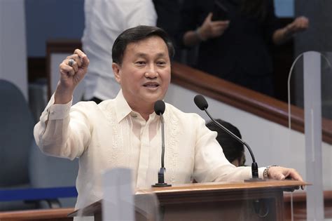 Tolentino Wants Govt Workers To Bare Kin Who Are Part Of Terror Groups Inquirer News