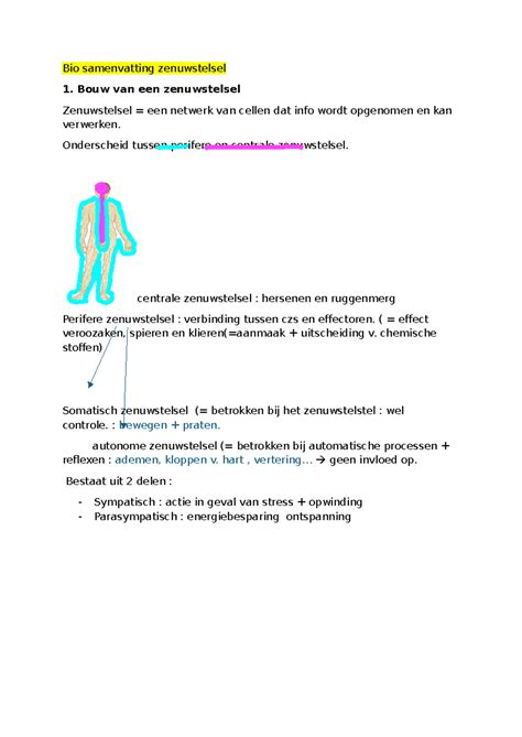 Bio Samenvatting Zenuwstelsel Bio Samenvatting Zenuwstelsel Bouw Van