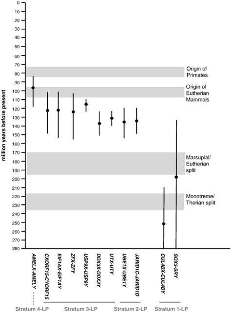 Plot Of Molecular Divergence Times For X And Y Gene Pairs Shown In Fig