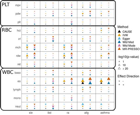 Mendelian Randomization Accounting For Correlated And Uncorrelated Pleiotropic Effects Using