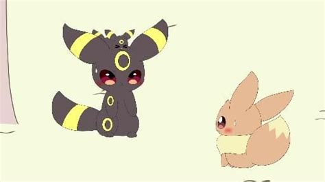 「ブラッキーを完璧に操縦するミニブラッキー！！｜ポケモンアニメ」 動画 ポケモン ポケモン 面白い ポケモン かわいい