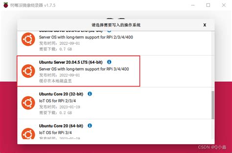 【树莓派】树莓派4b镜像安装（使用raspberry Pi Image）树莓派镜像 Csdn博客