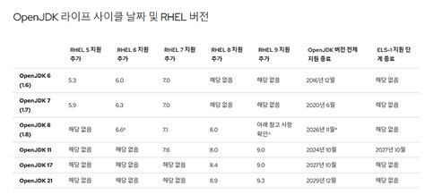 개발자생각 open jdk 관련 2024 11월 버전