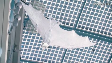 Lonlord前言交叉科学研究中心 On Linkedin Biomimetic Bat Robot It Hangs Upside