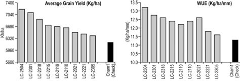 Grain Yield Kg Ha 1 And Water Use Efficiency Kg Ha 1 Mm 1 Of 9 Download Scientific