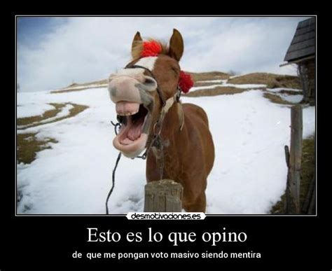 Esto Es Lo Que Opino Desmotivaciones