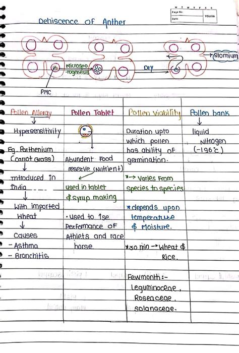 Sexual Reproduction In Flowering Handwritten Notes Shop Handwritten
