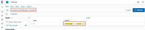 Lucene查询语法汇总 Elklucene实现模糊字段匹配 Csdn博客