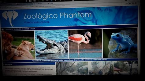 Intro A Jquery Youtube