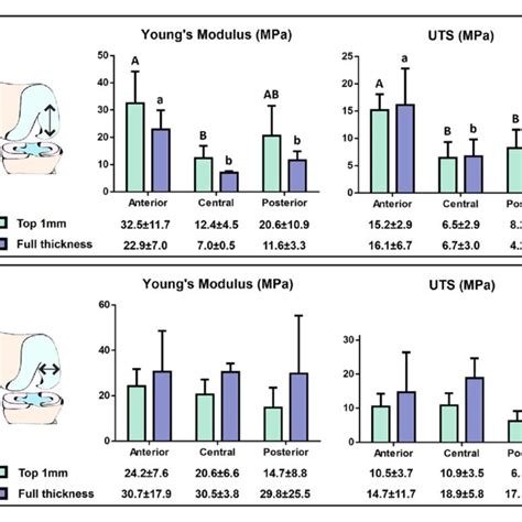 Biochemical Properties Of The Human Medial Femoral Cartilage A