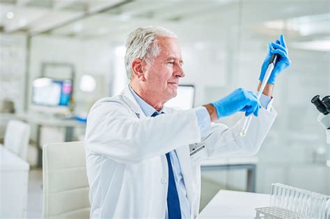 실험실에서 테스트 튜브와 파이펫을 사용하는 선임 과학자의 샷 70 79세에 대한 스톡 사진 및 기타 이미지 70 79세 Stem 주제 개발 Istock