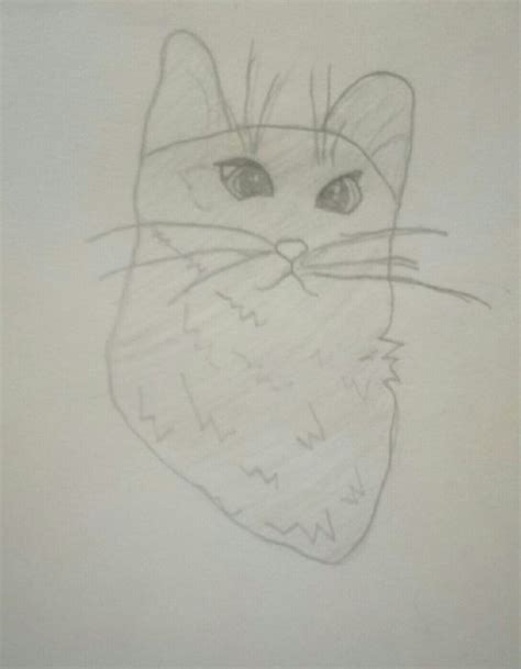 Мордочка кота скетч