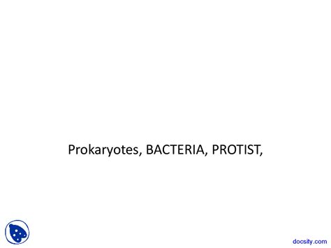 Prokaryotes Introductory Biology Laboratory Lecture Slides Docsity