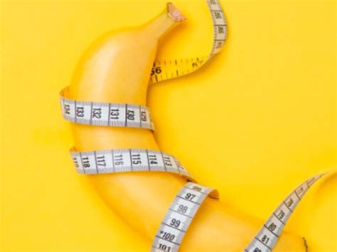 Un Estudio Revela Que El Tama O Importa Algunos Cent Metros M S Marcan La Diferencia En