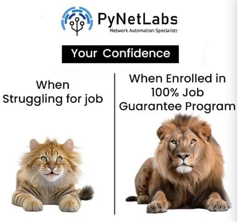 Hemant Tanwar On Linkedin Jobguarantee Pynetlabs Networkengineer