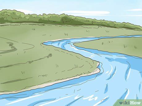 How To Catch Trout With Pictures WikiHow