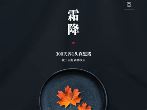 【牧云黑真猪】黑猪肉品牌霜降海报设计牧云黑真猪 站酷zcool