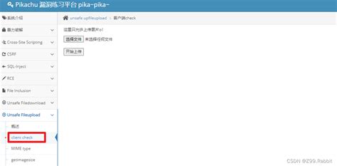尝试fuzz测试文件上传靶场的黑名单 Csdn博客