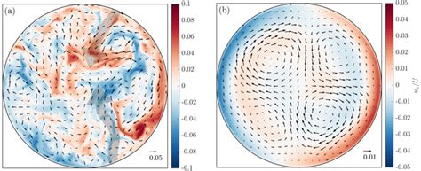 A Snapshot Of The Instantaneous Flow A And The Orientation