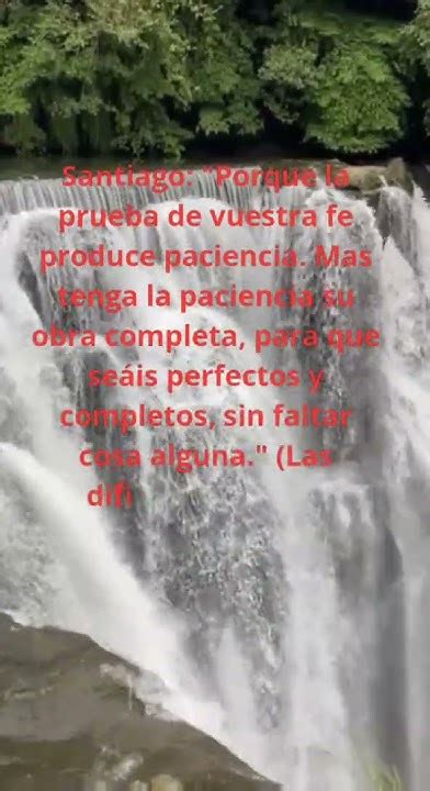 Santiago Porque La Prueba De Vuestra Fe Produce Paciencia Youtube