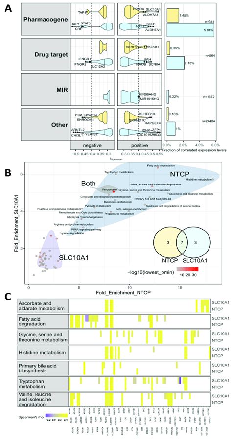 Genome Wide Expression Correlation Analysis And Gene Set Enrichment