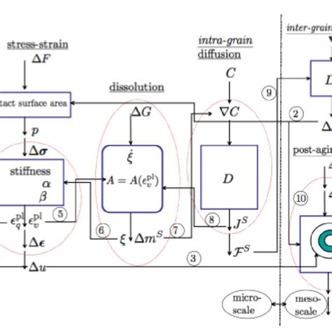 Schematic Of Feedbacks And Feedforwards In Coupled Processes Of Mineral Download Scientific
