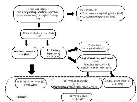 Flowchart Of Cases Included In The Study Download Scientific Diagram